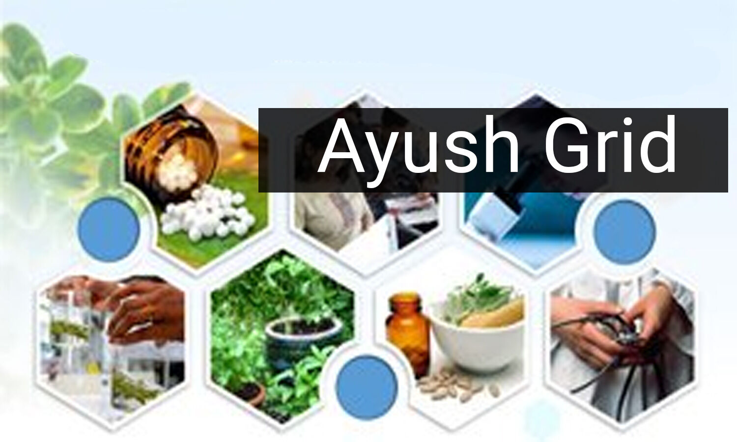 Nationwide AYUSH Grid connecting all hospitals and laboratories to ...