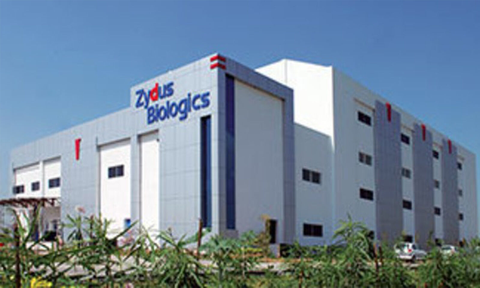 Zydus Healthcare gets CDSCO panel nod for study of Indacaterol ...