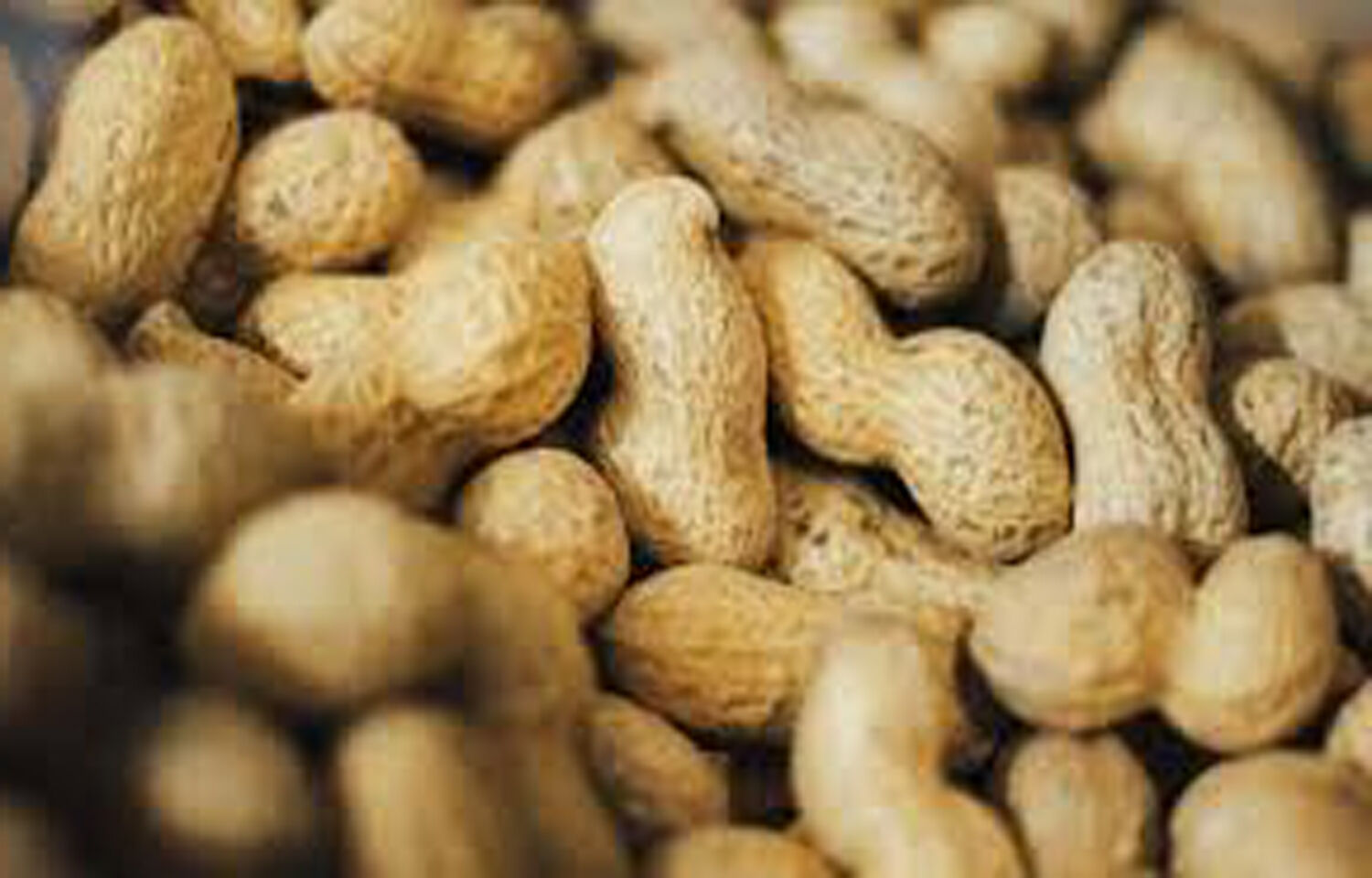 Frequent peanut consumption by cancer patients increases risk of cancer ...