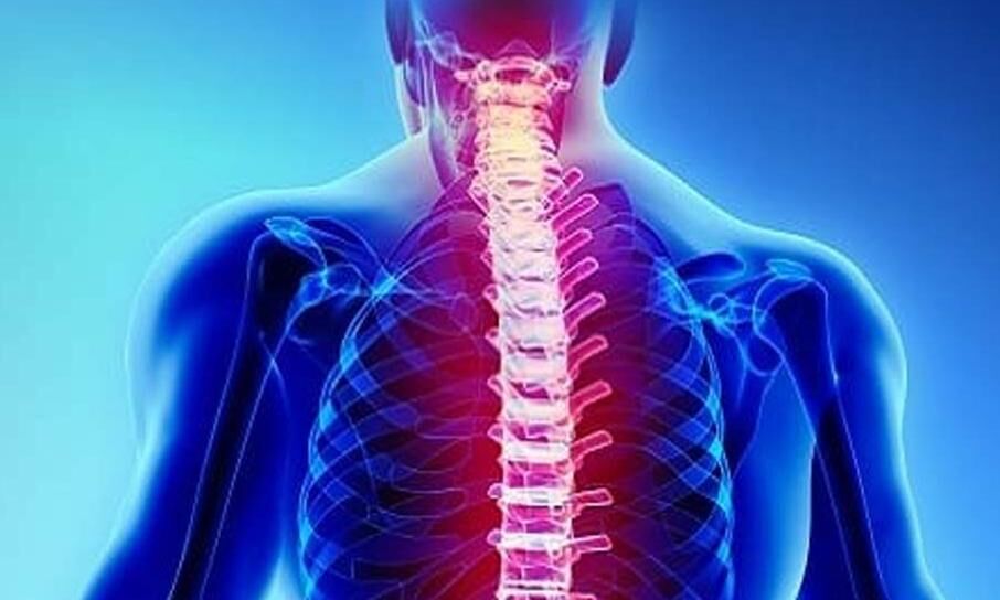 Cycling associated with frequent Traumatic Spine Injury, finds Harvard ...