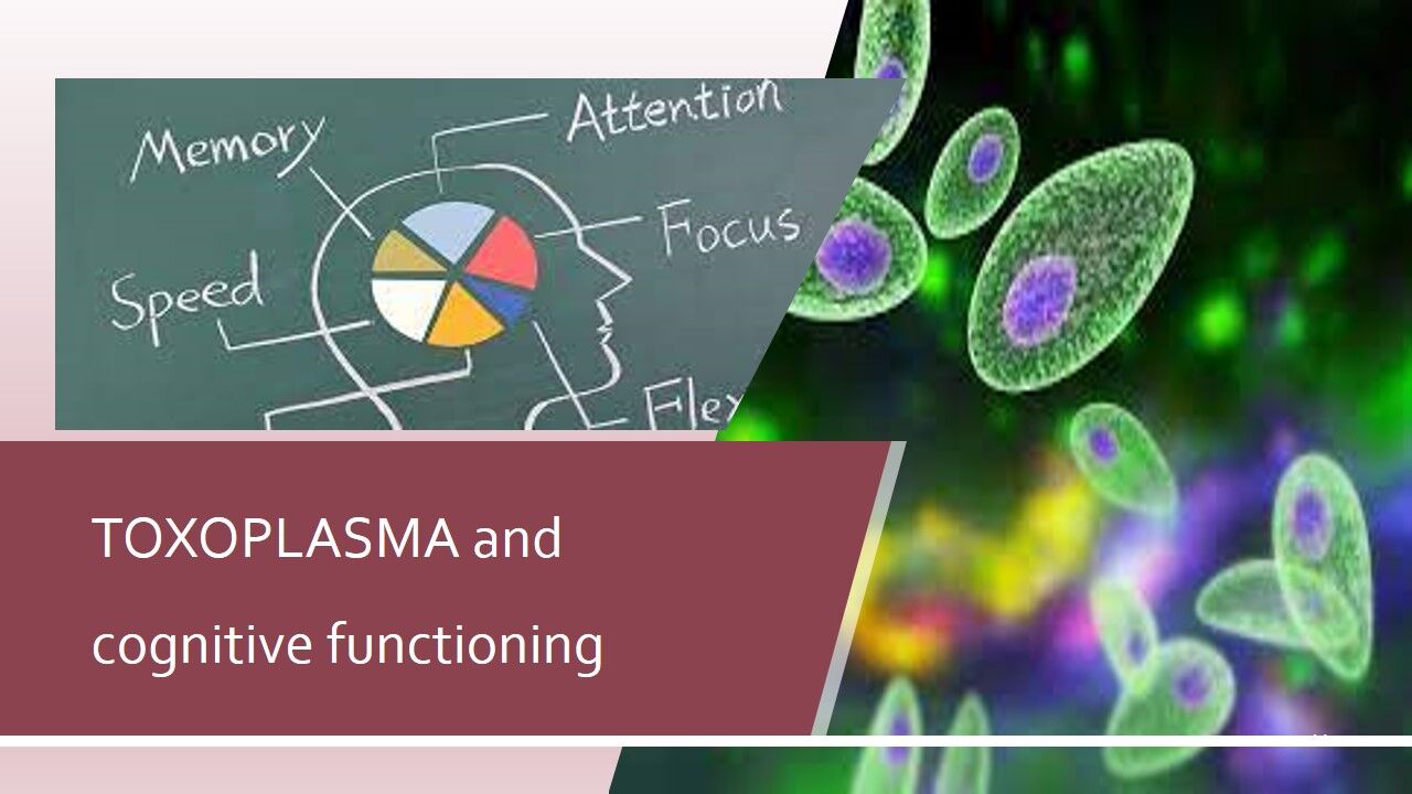 JAMA study links toxoplasma seropositivity with impaired cognition