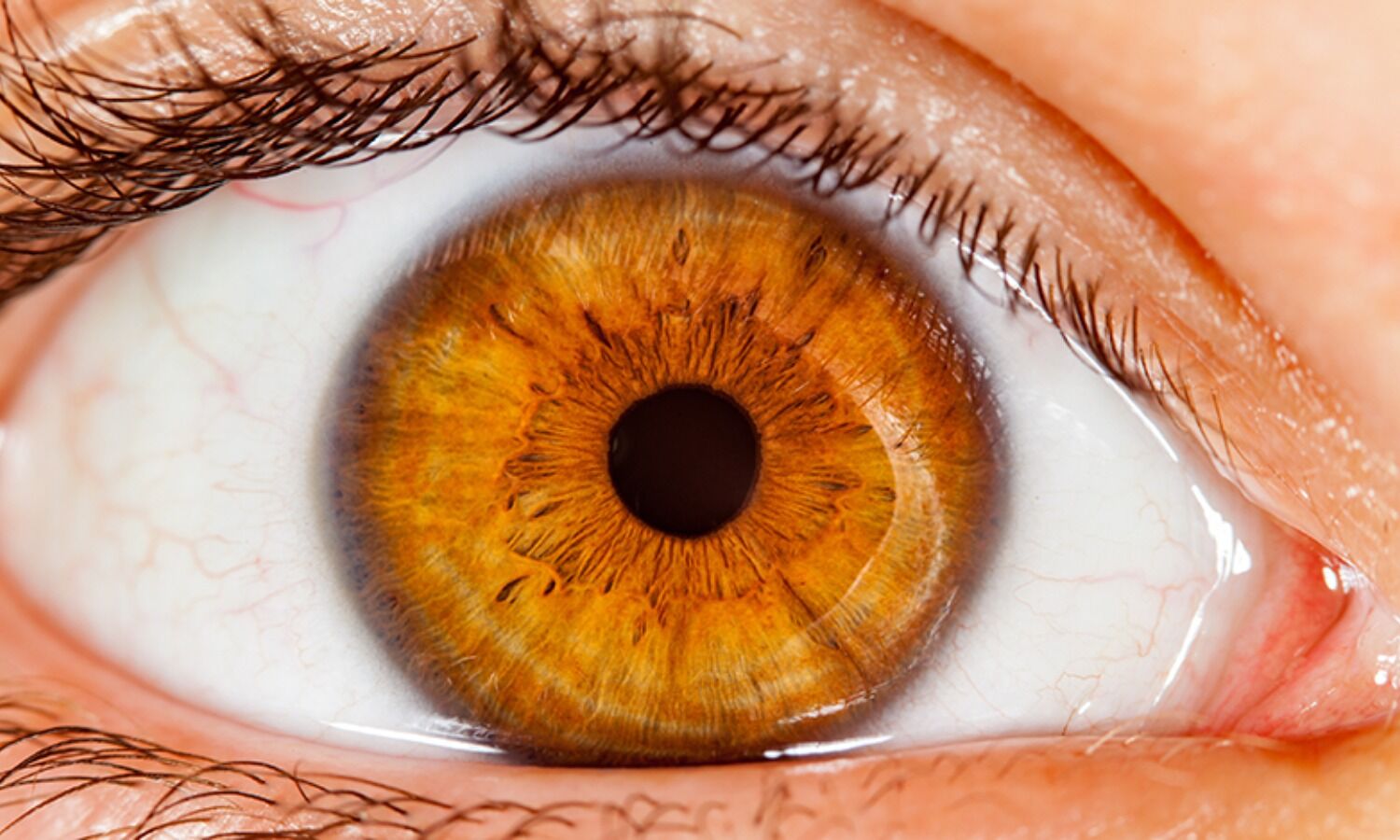 Ocular toxic effects associated with Fibroblast Growth Factor Receptor ...