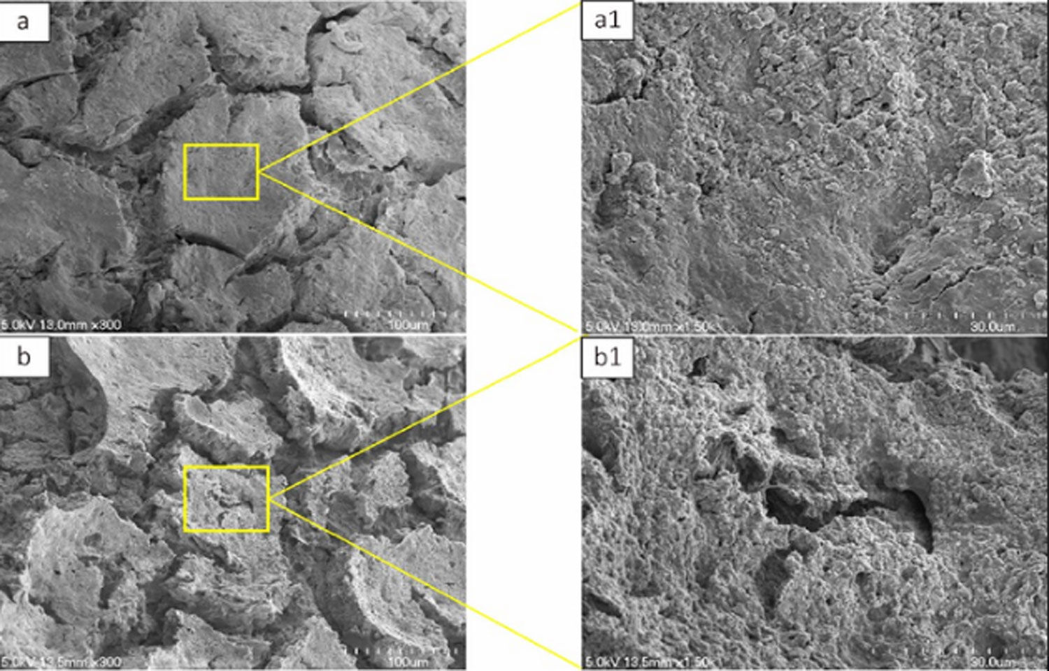 Mixing alginic acid to bone replacement material improves artificial ...