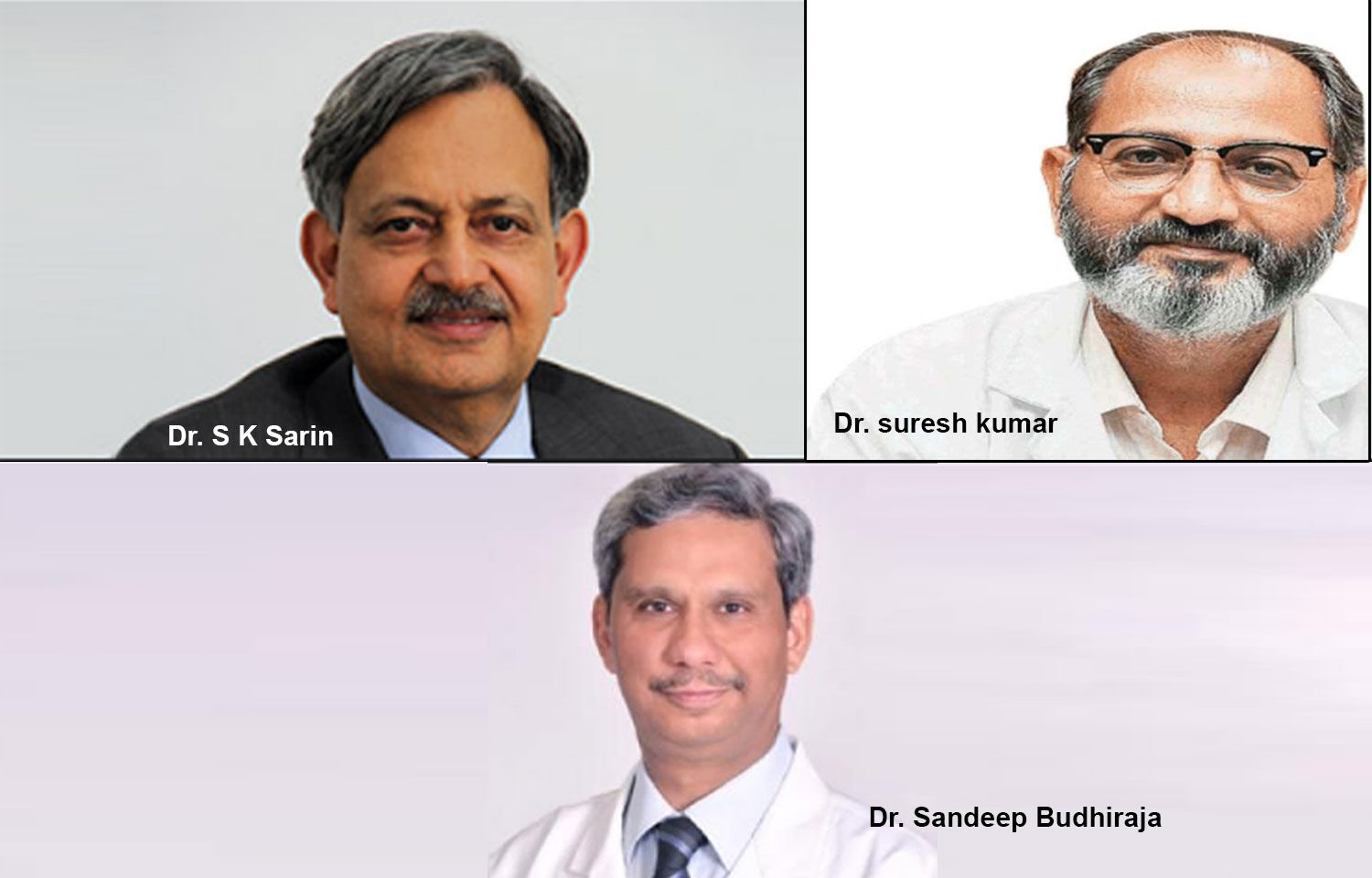 Doctors SK Sarin, Suresh Kumar, Sandeep Budhiraja nominated by Delhi ...