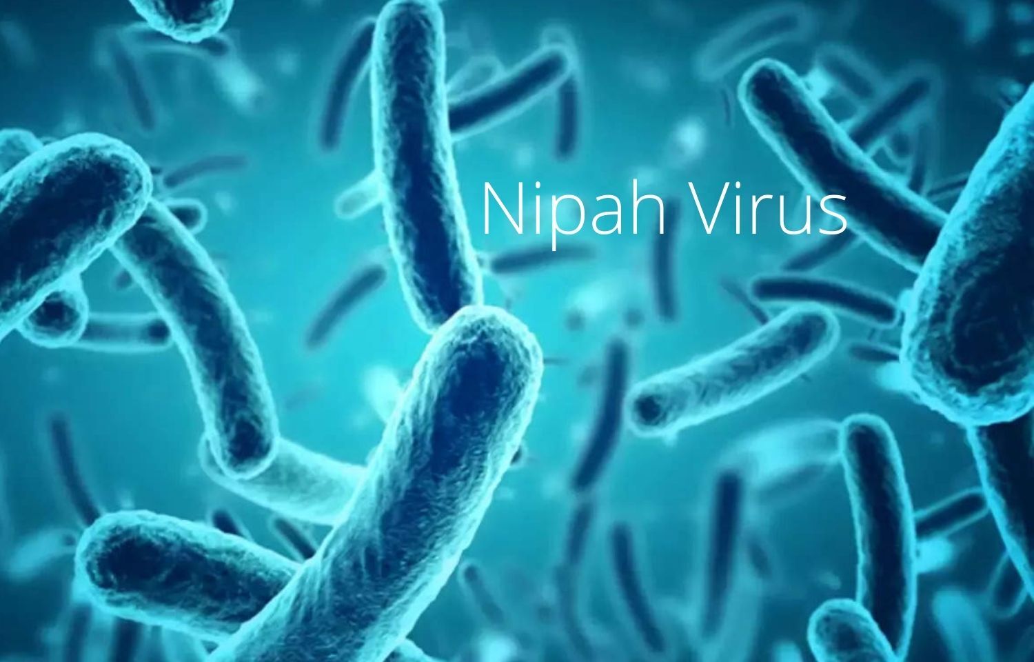 DCGI approves Molbio Diagnostics Nipah virus test kit Truenat