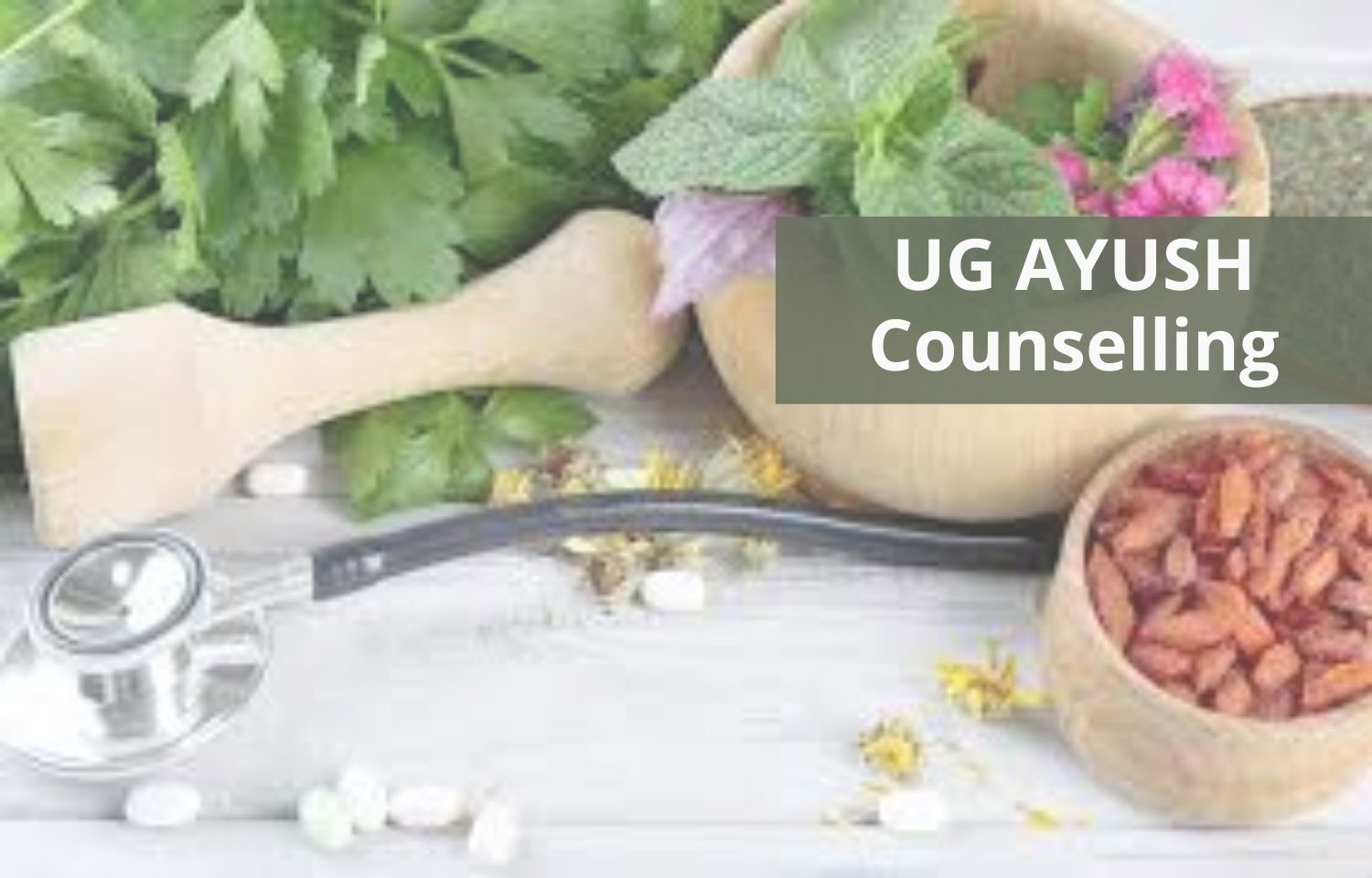 Dr NTR University Of Health Sciences Notifies on Web Options For UG ...