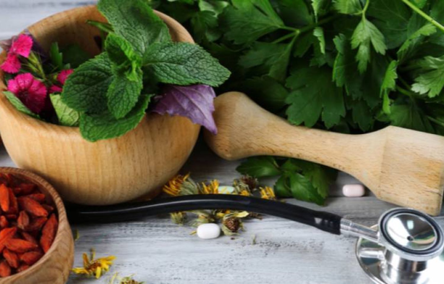 Roots of Rumex abyssinicus lower blood sugar, can be used for diabetes ...