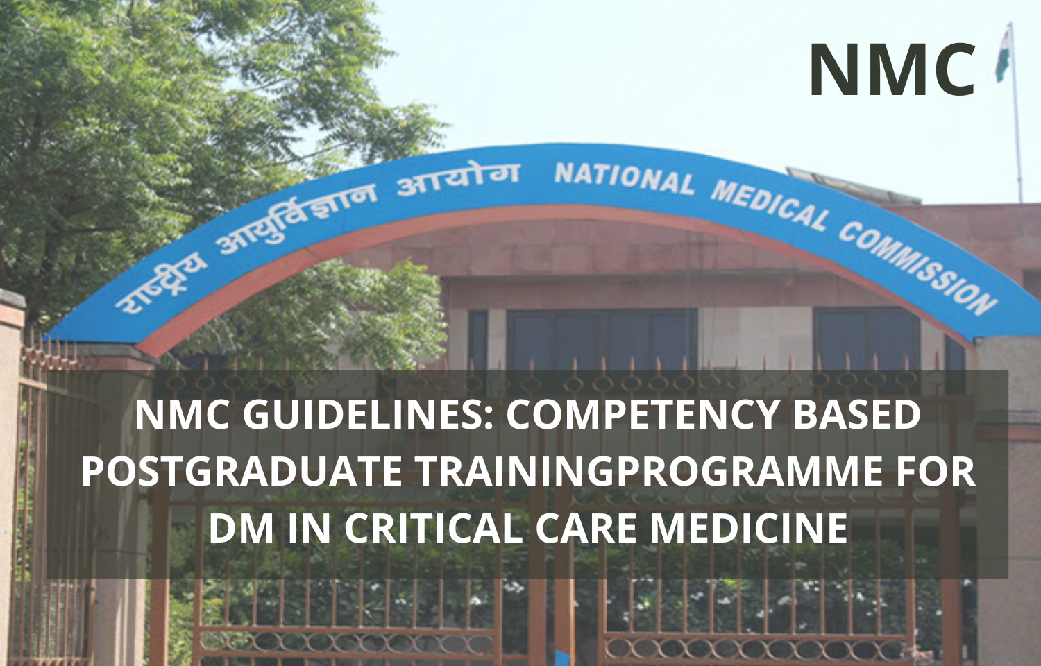 NMC Guidelines for Competency-Based Training Programme For DM Critical ...