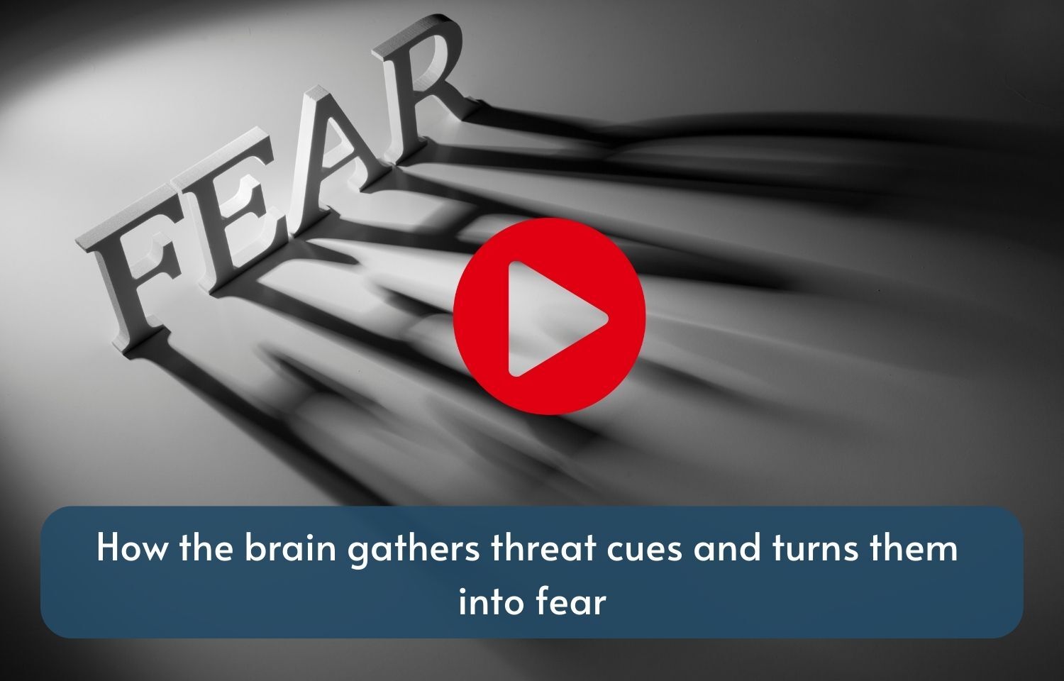 How the brain gathers threat cues and turns them into fear