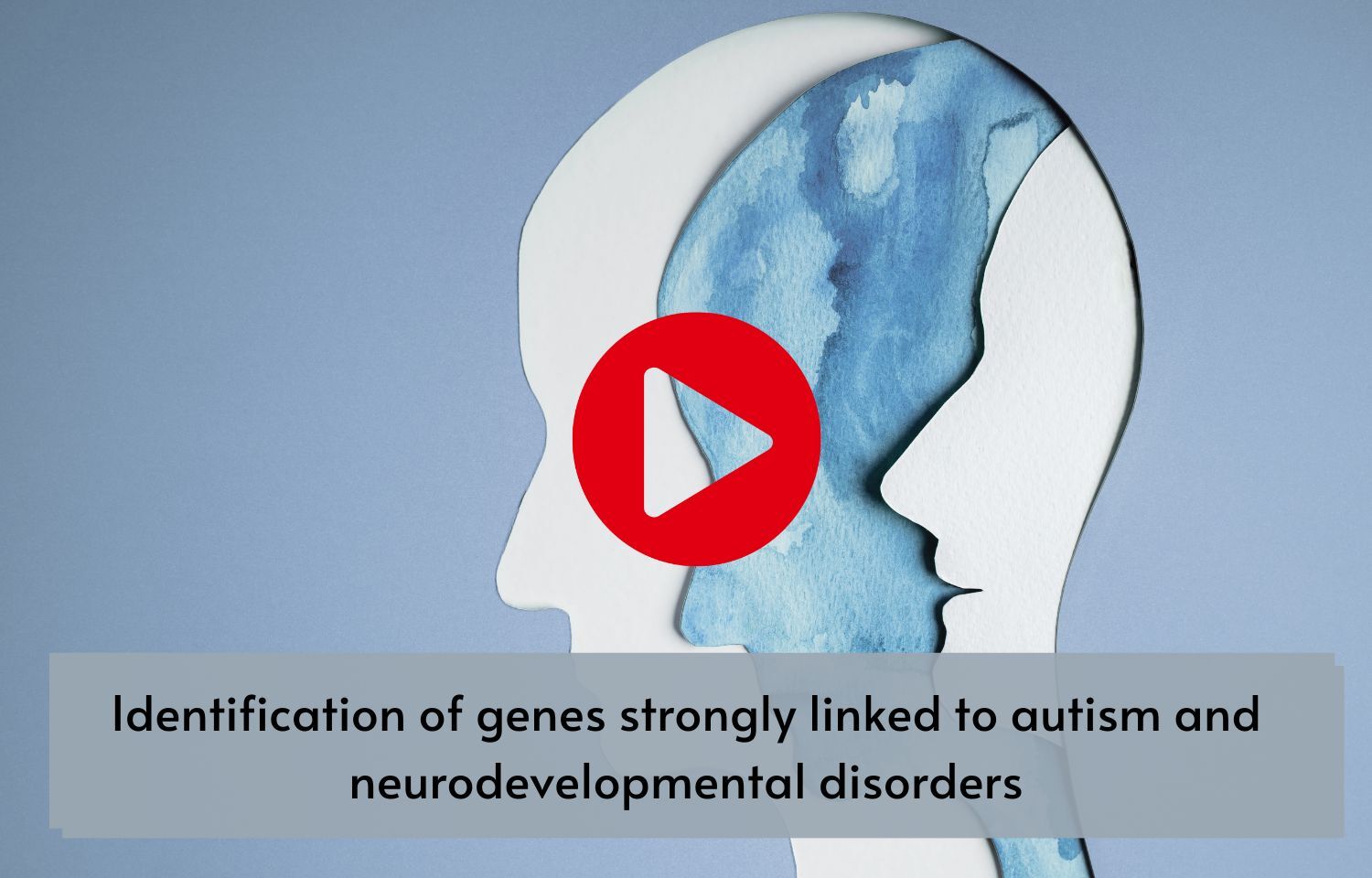 Identification of genes strongly linked to autism and ...