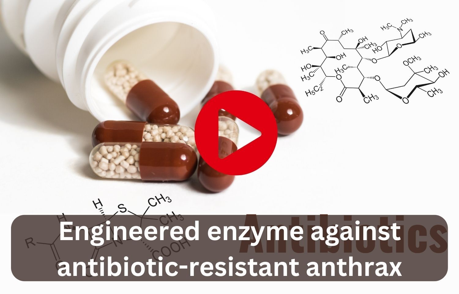Engineered enzyme against antibiotic-resistant anthrax
