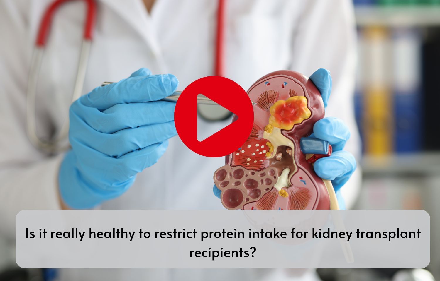 Is it really healthy to restrict protein intake for kidney transplant ...