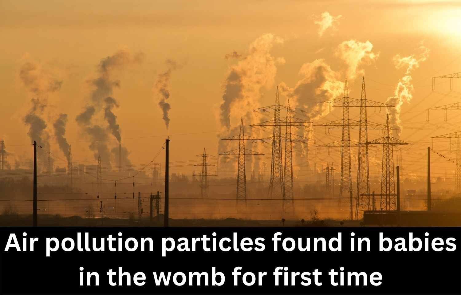 Air pollution particles found in babies in womb for first time