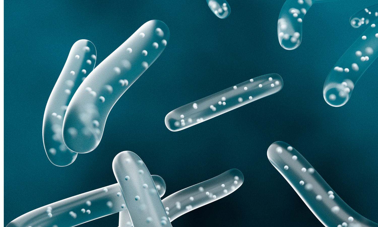 Probiotics tied to increased mortality among ICU patients: A boon or a ...