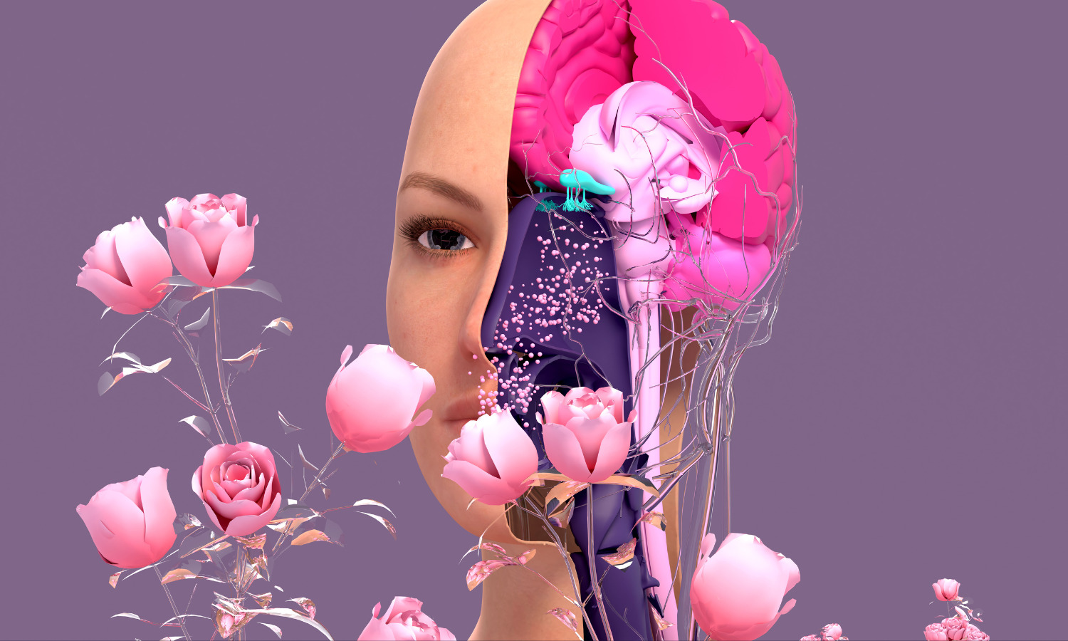 Nasal airway surgery improves sense of smell; study adds data