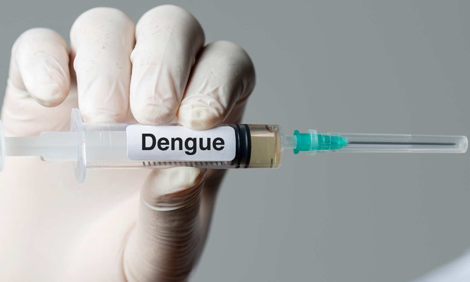 European Commission approves Qdenga as second dengue virus vaccine