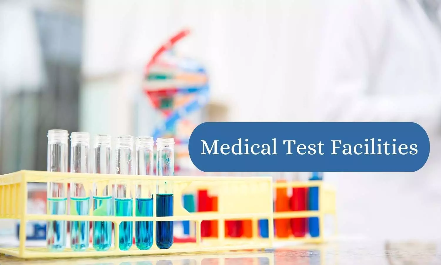 Set up visa stamping, medical test facilities in Guwahati: Assam MP ...