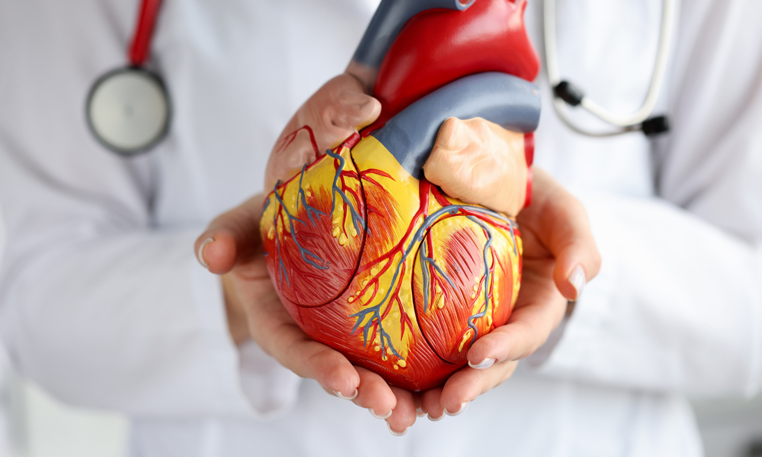 Bradyarrhythmias risk markers but their detection not associated with ...