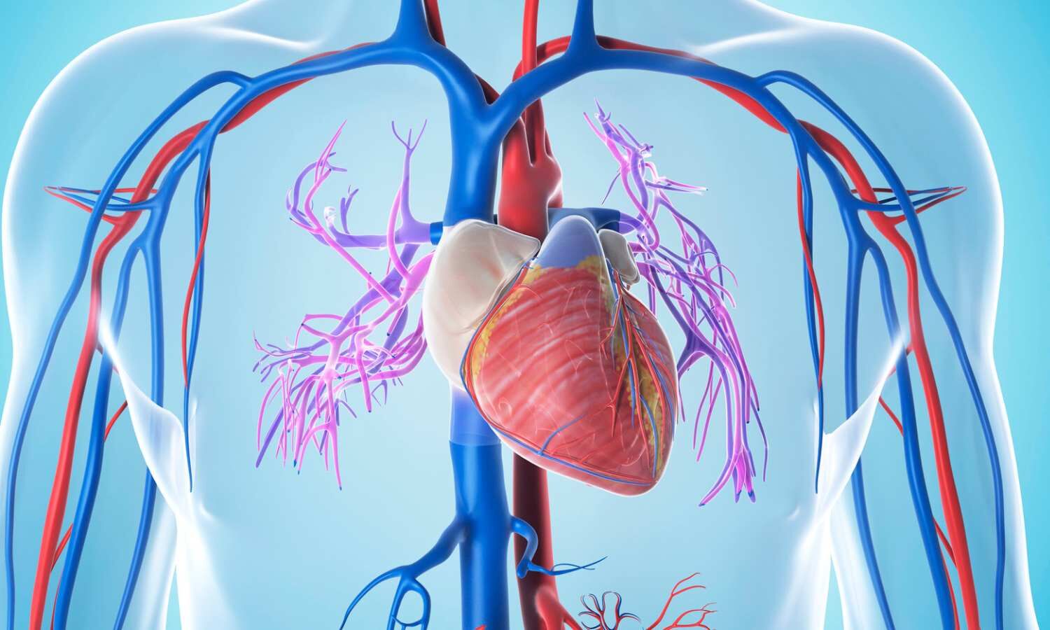 Can Coronary artery calcium predict vascular inflammation and plaque ...