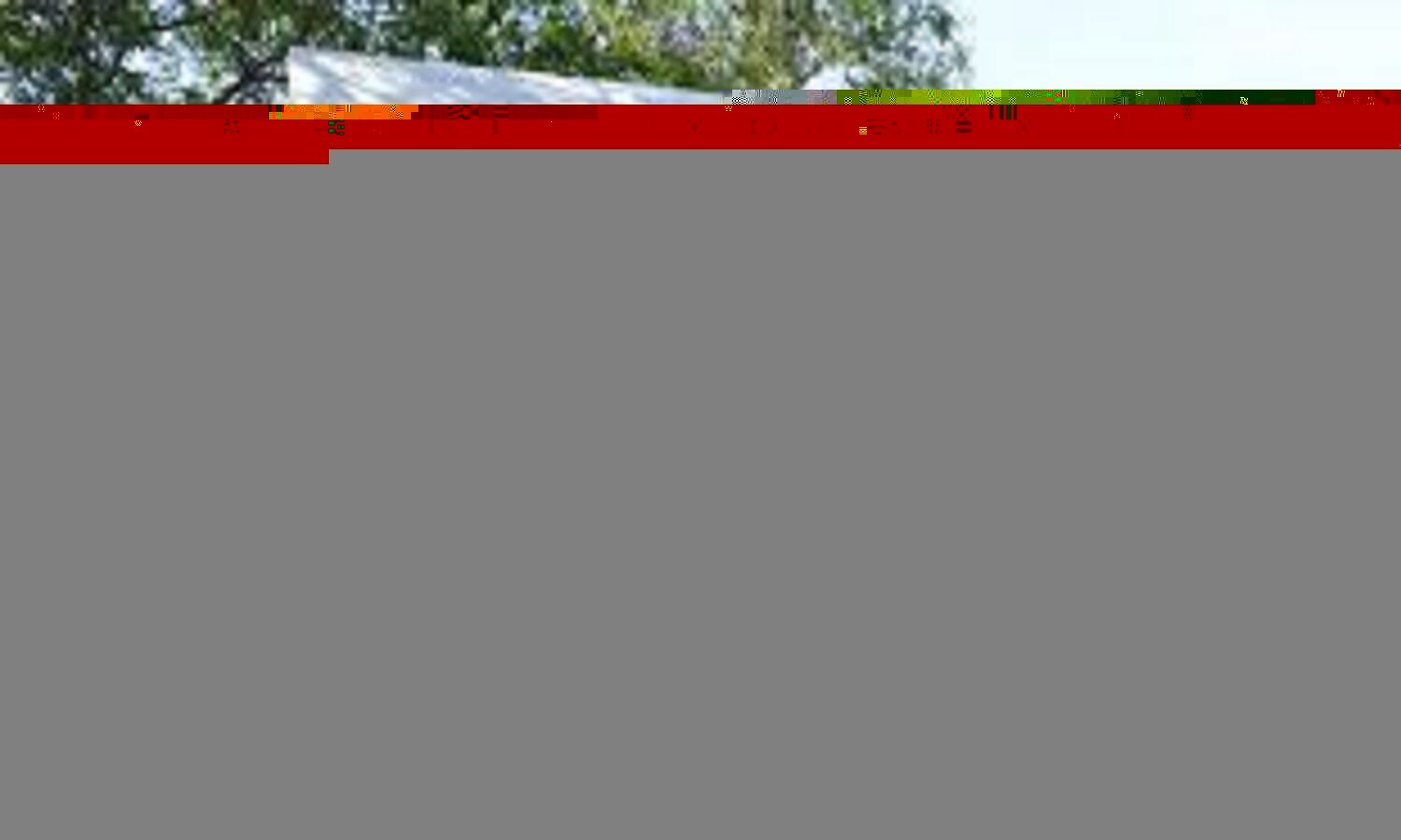 IIT Madras Students to be Taught by renowned surgeons, medical specialists