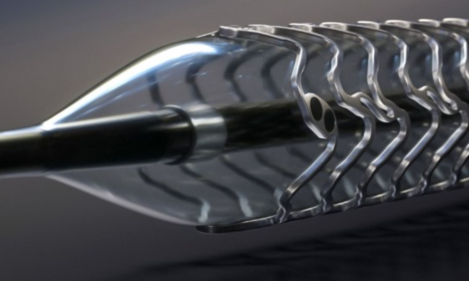 New resorbable magnesium scaffold promising for coronary lesions ...