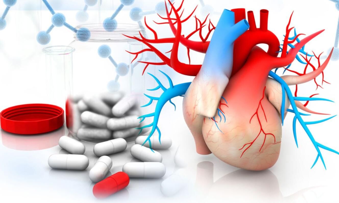 Stress CMR accurately stratifies risk and prognosis of patients with ...