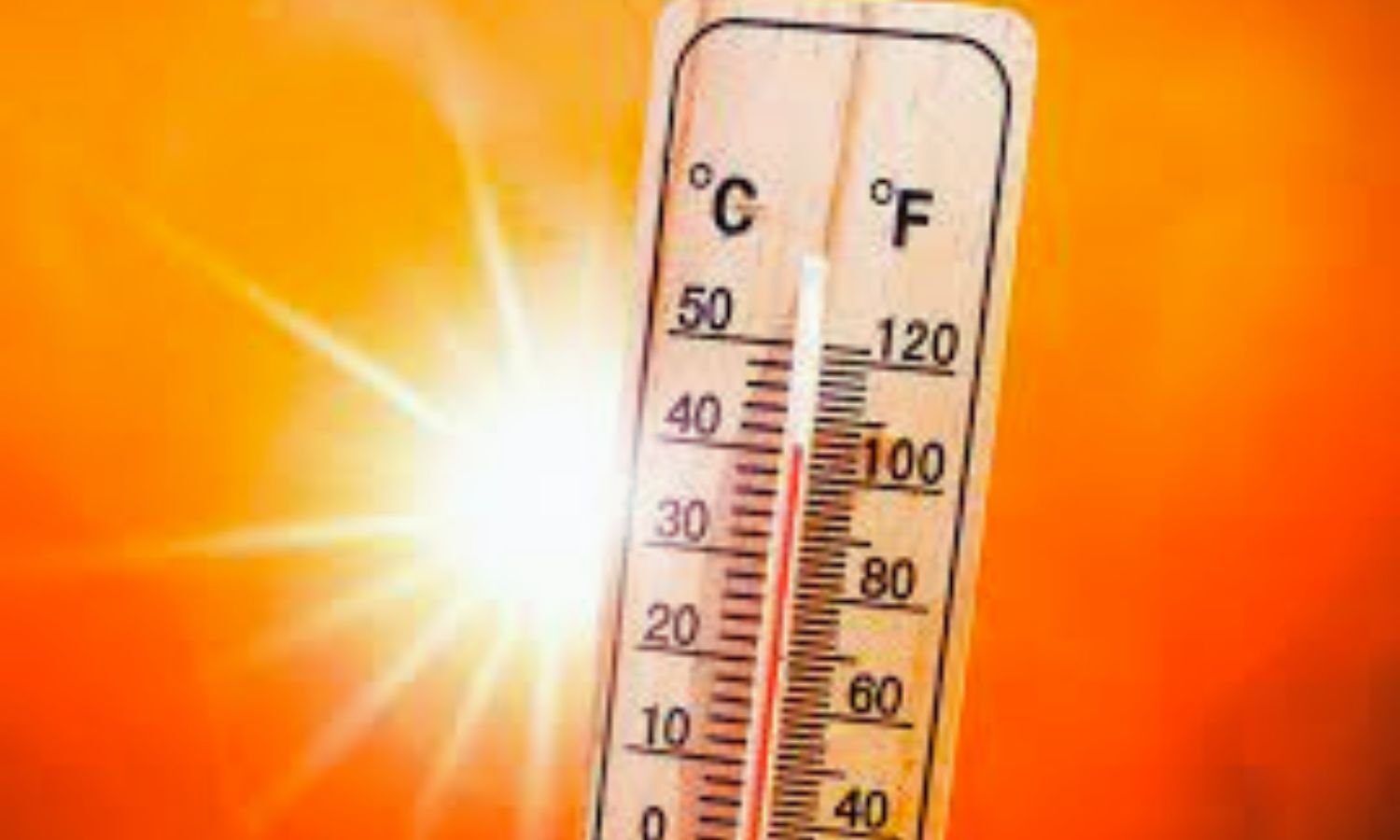 As Haryana faces heatwave, hospitals step up preparedness with ...