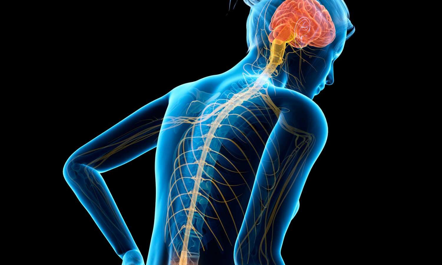 Potential neuropathic pain treatment shows promise in Preclinical tests