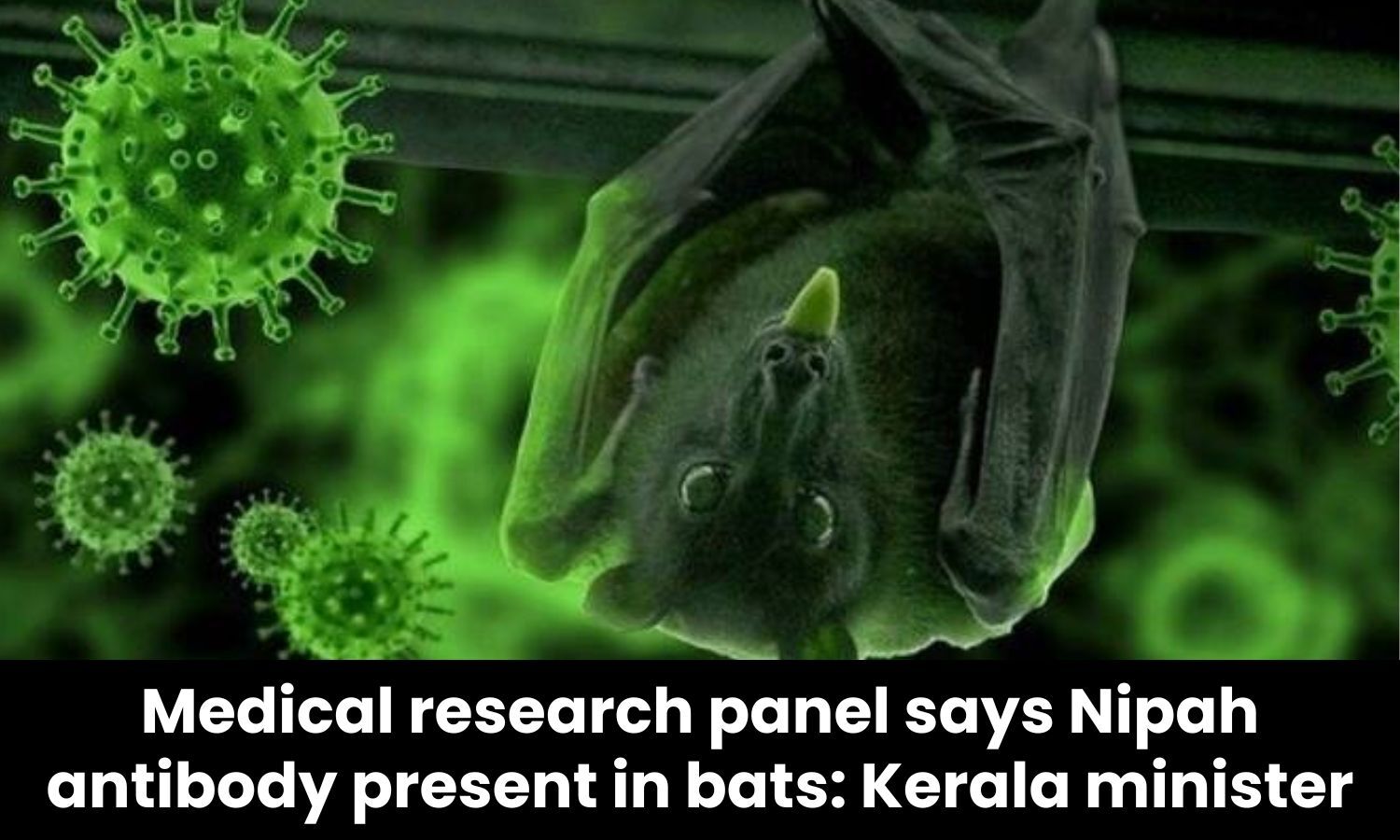 ICMR confirms presence of Nipah virus antibody in bat samples