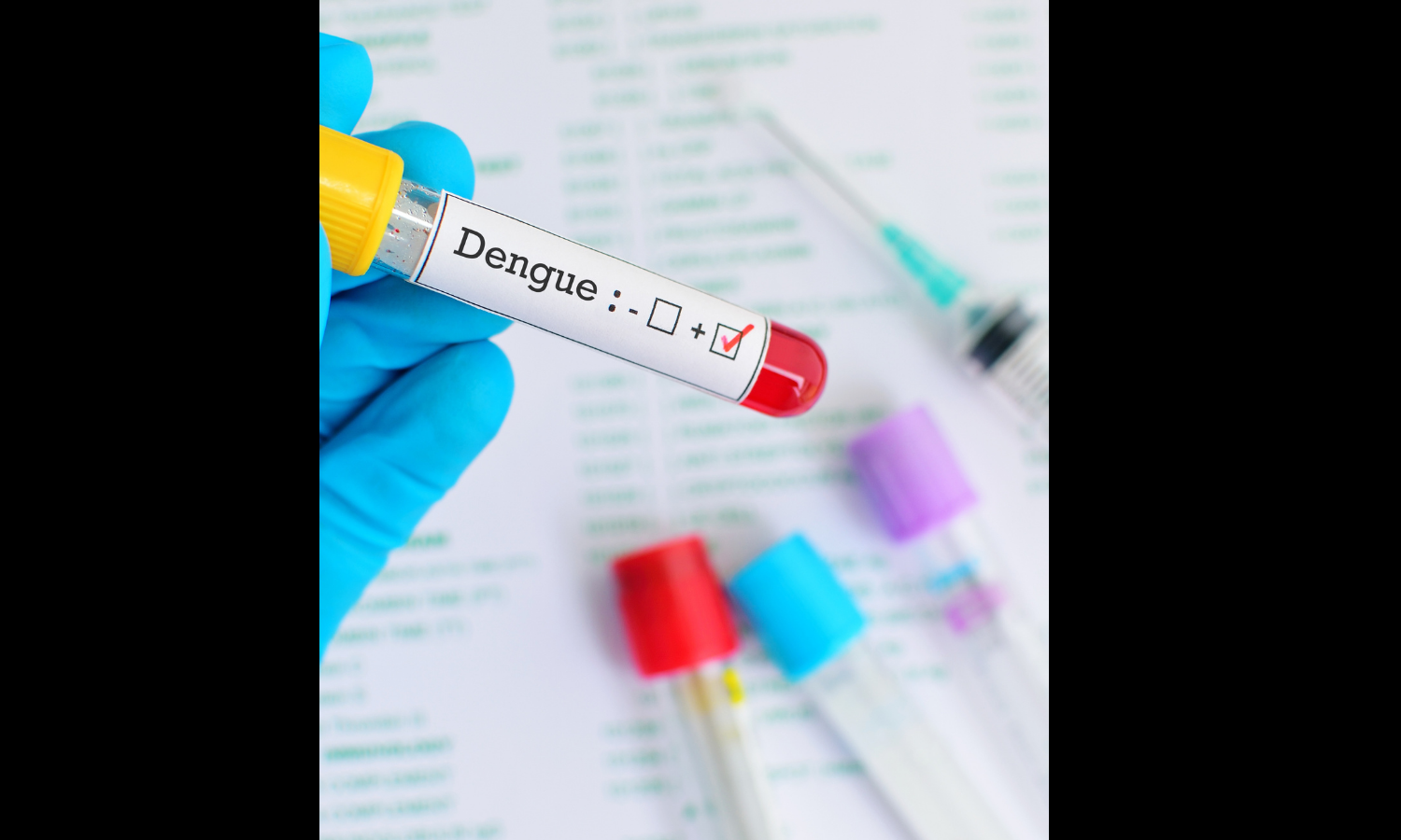 5 Ayurvedic Products And Treatments That Can Help Dengue Patients ...