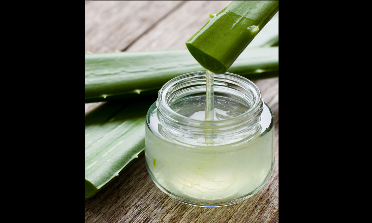 Beneficial Impacts Of Aloe Vera On Hair And Skin