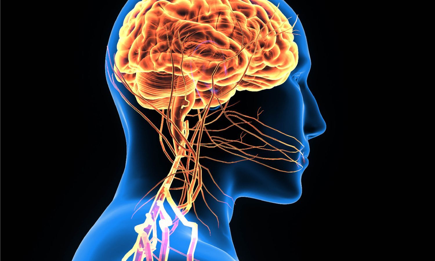 Noninvasive vagus nerve stimulation promising for treating postural ...