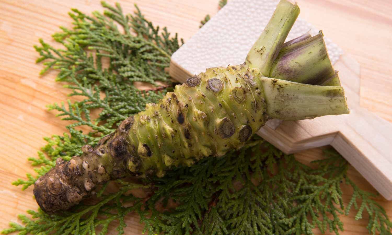 Exploring the Memory-Boosting Potential of Wasabi: Study