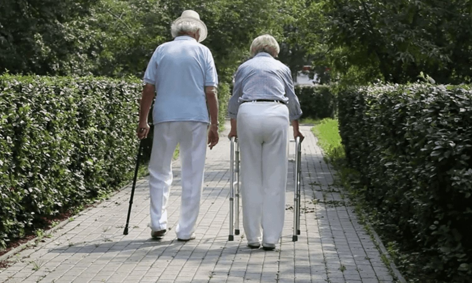 Gait Parameters Change can be Early Marker of Cognitive Impairment: Study