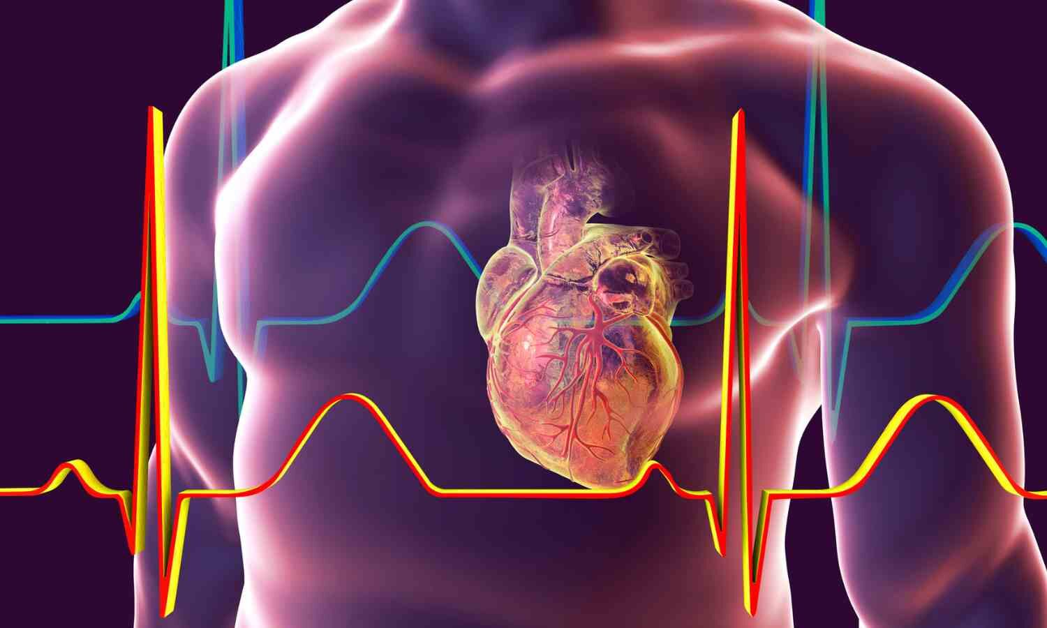 Early coronary disease, impaired heart function found in asymptomatic ...
