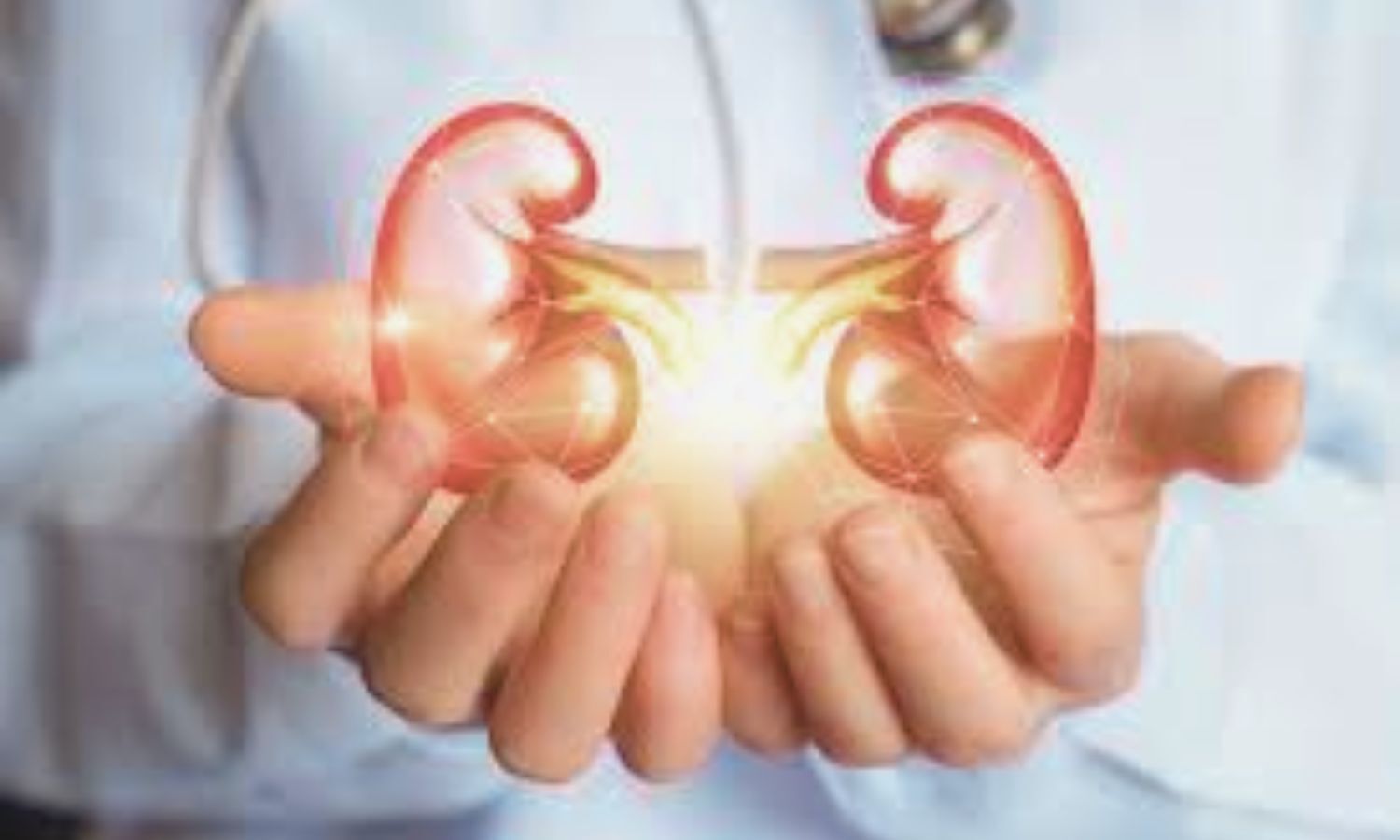 Sibeprenlimab Slows Kidney Function Decline in IgA Nephropathy: Study