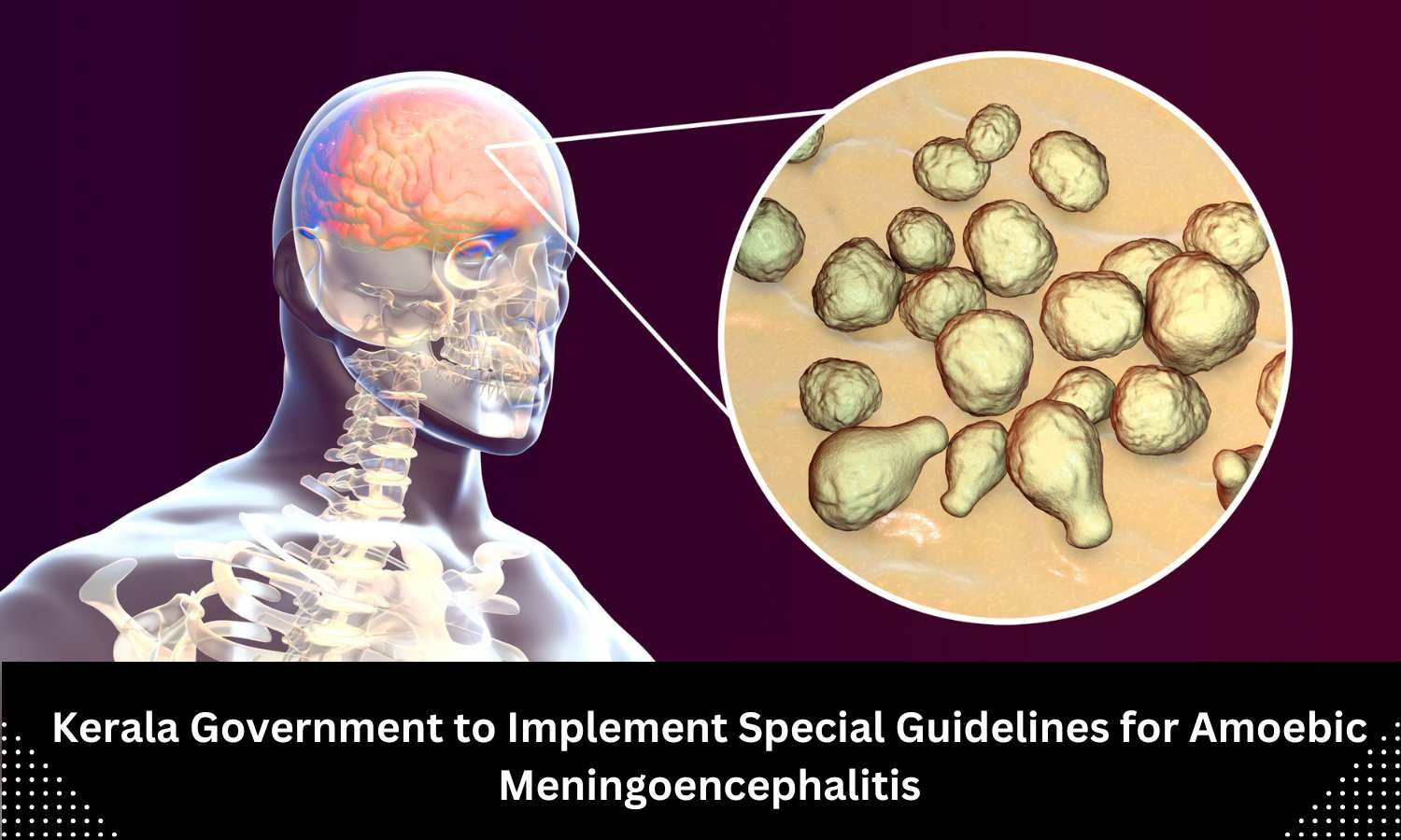 Kerala Govt to release special guidelines for amoebic meningoencephalitis