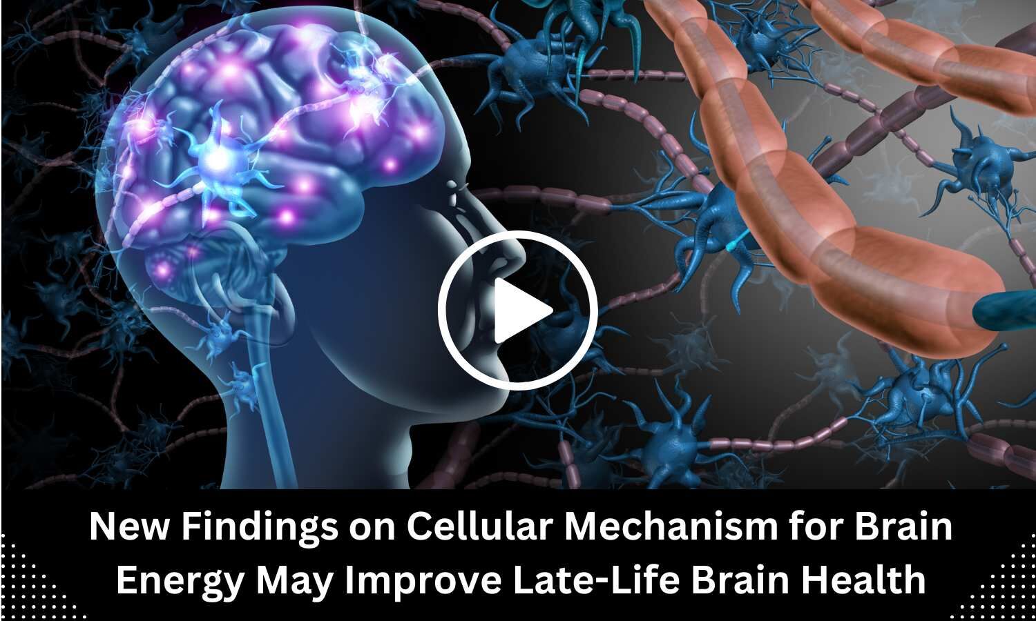 New Findings on Cellular Mechanism for Brain Energy May Improve Late ...