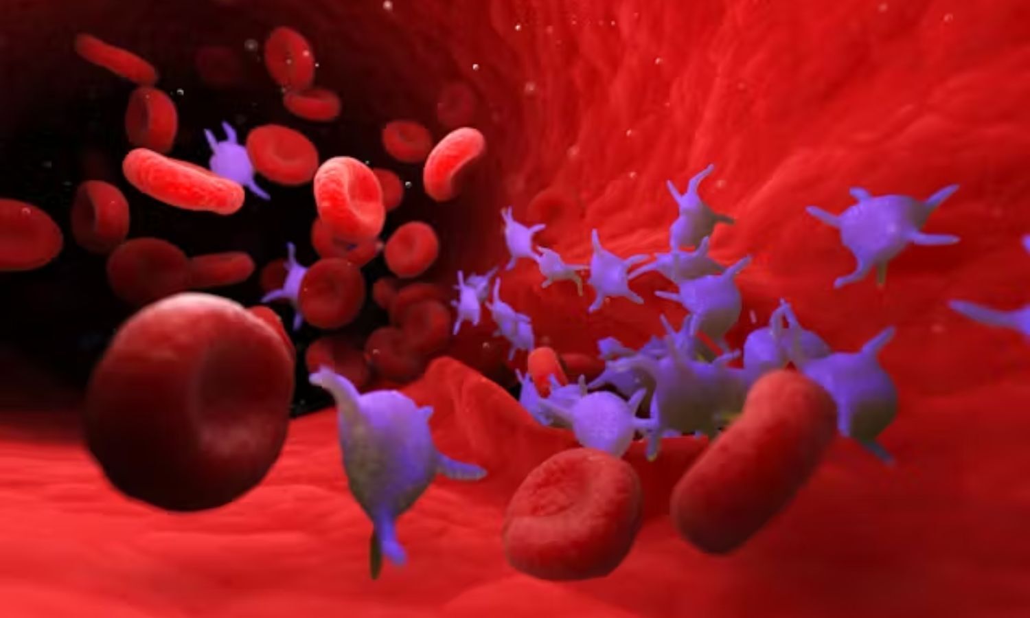 Poor Glycemic Control linked to reduced plateletcrit and platelet mass ...