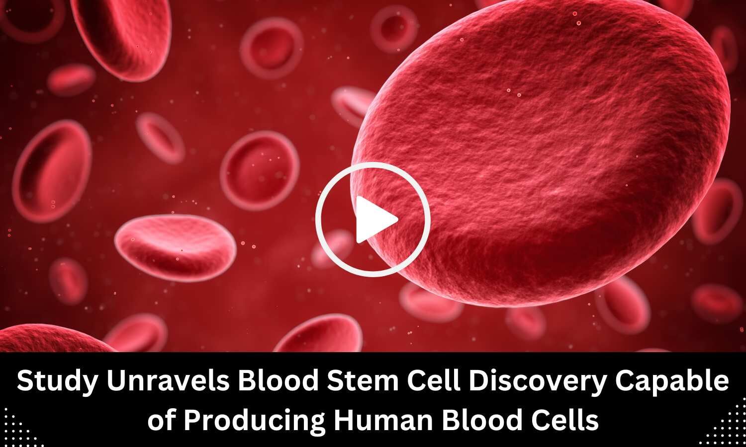 Study Unravels Blood Stem Cell Discovery Capable of Producing Human ...