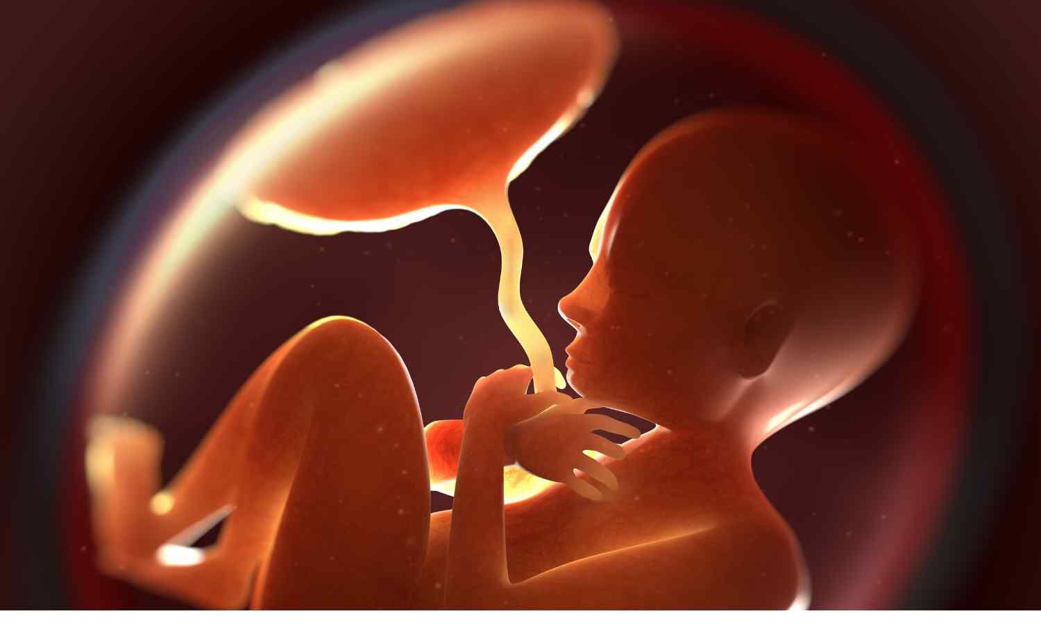 Discarding placenta after birth tied to loss of valuable information ...