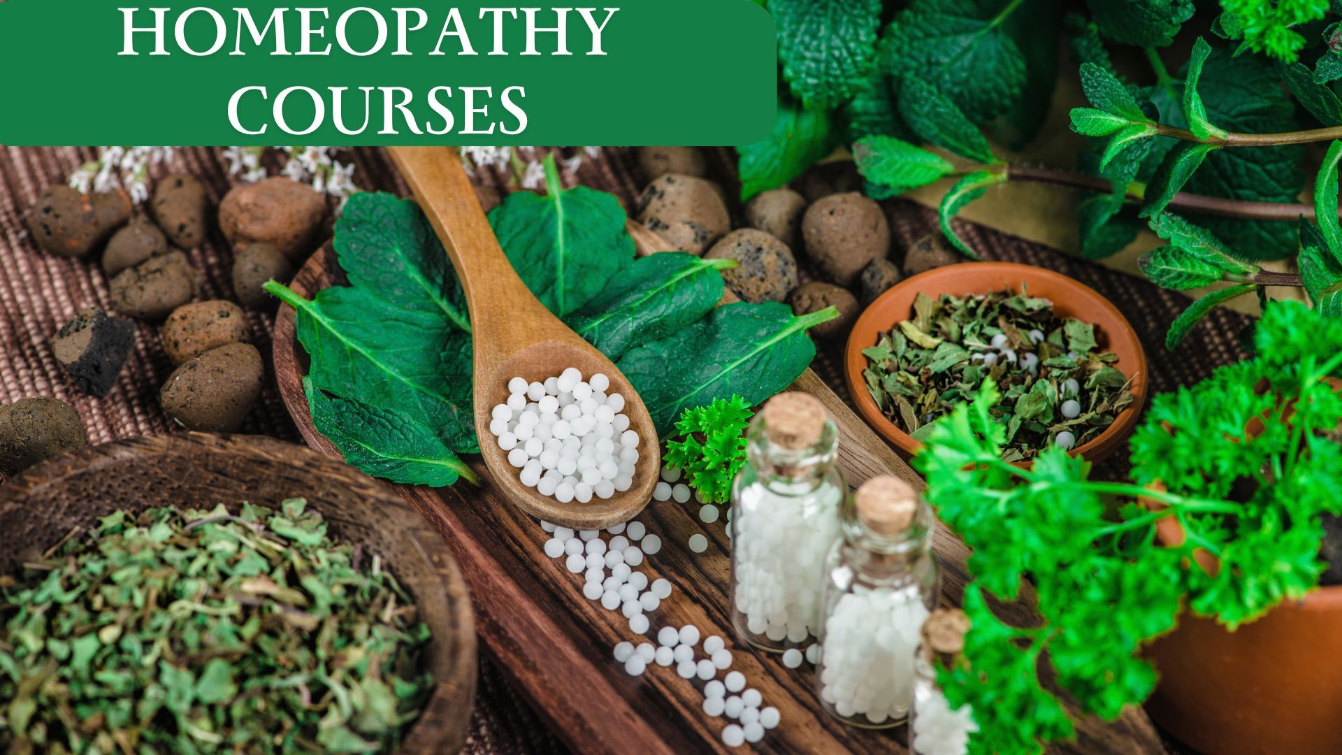 CEE Kerala Invites Applications for 2024 PG Homeopathy Courses ...