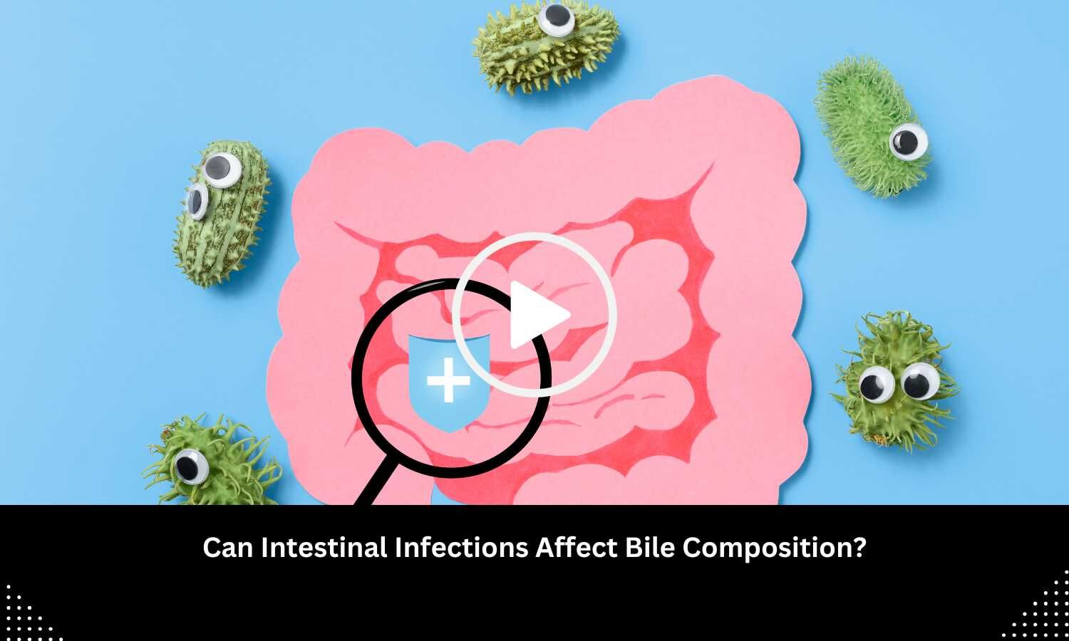 Can Intestinal Infections Affect Bile Composition? Study Sheds Light