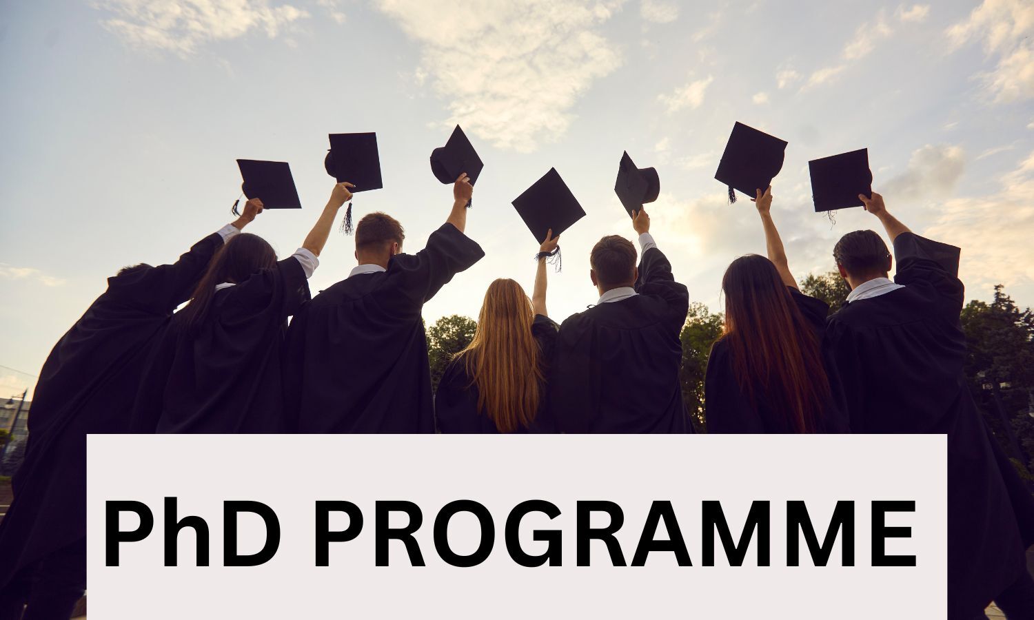 AIIMS Nagpur Invites Applications for PhD Programme: Check Eligibility ...