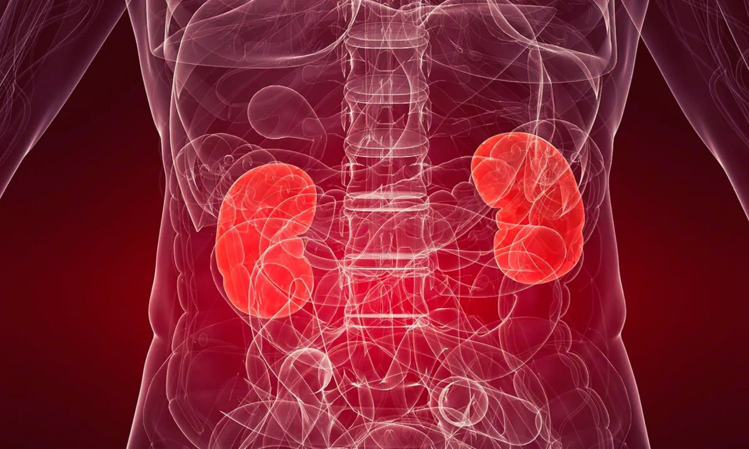 Can TEE Predict Kidney Risk After Heart Bypass? Surprising Insights ...