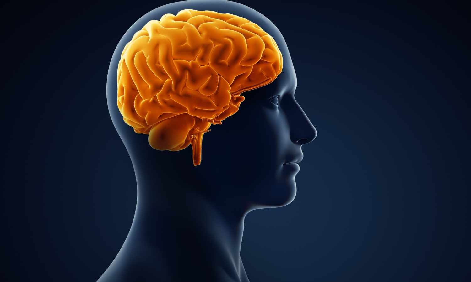 Ibogaine appears to treat traumatic brain injuries in veterans: Study