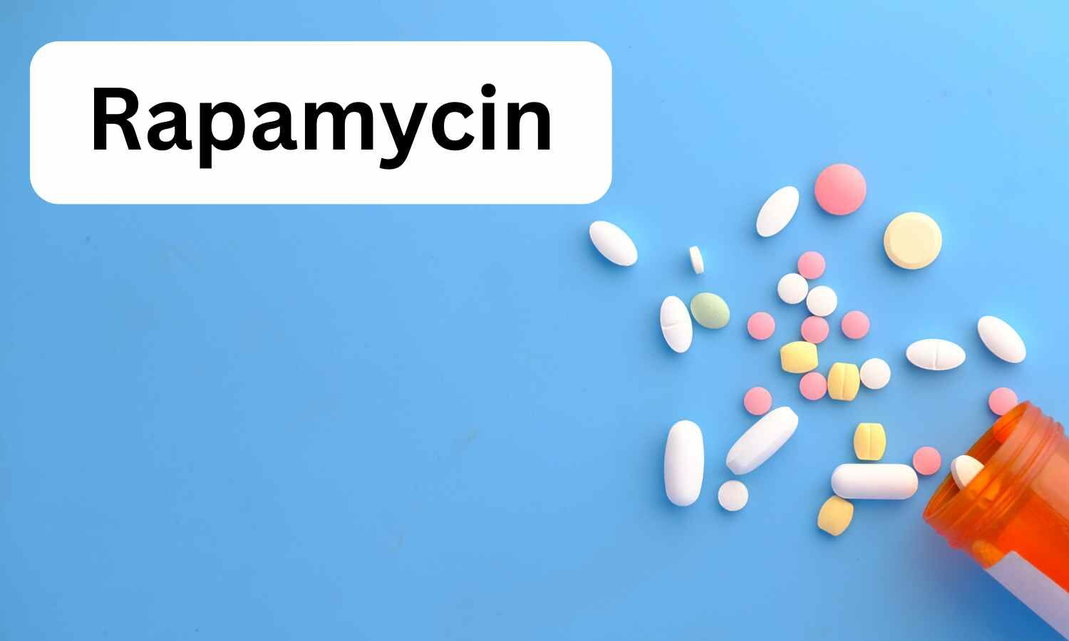 Anti-aging drug Rapamycin extends lifespan as effectively as eating ...