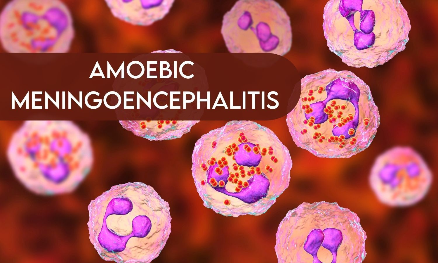 Kerala launches campaign against Amoebic Meningoencephalitis amid 18 ...