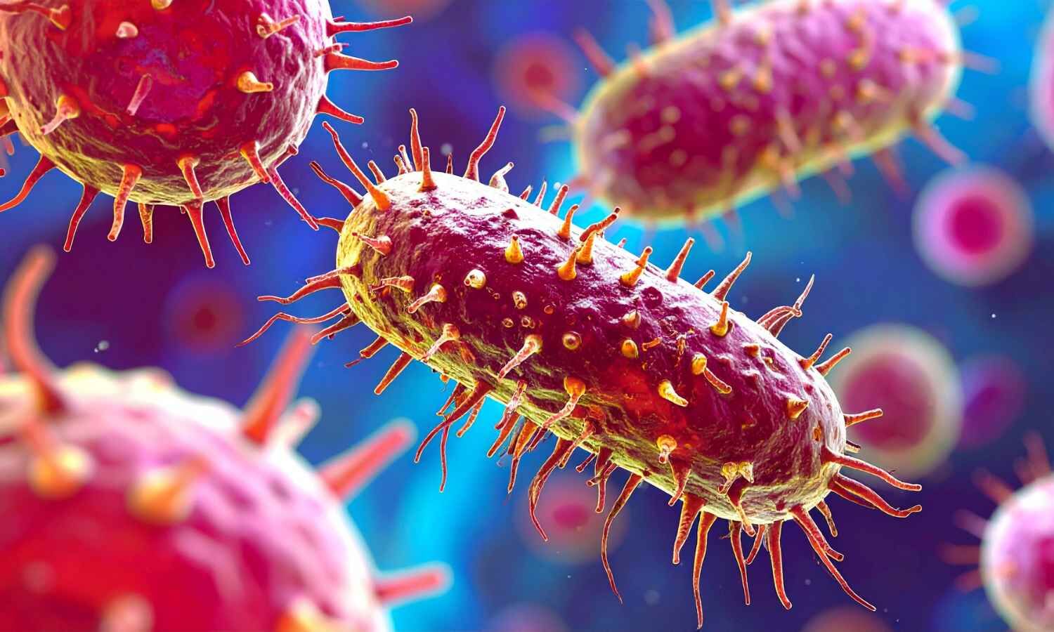 WHO releases new reports on emerging diagnostics and treatments for ...