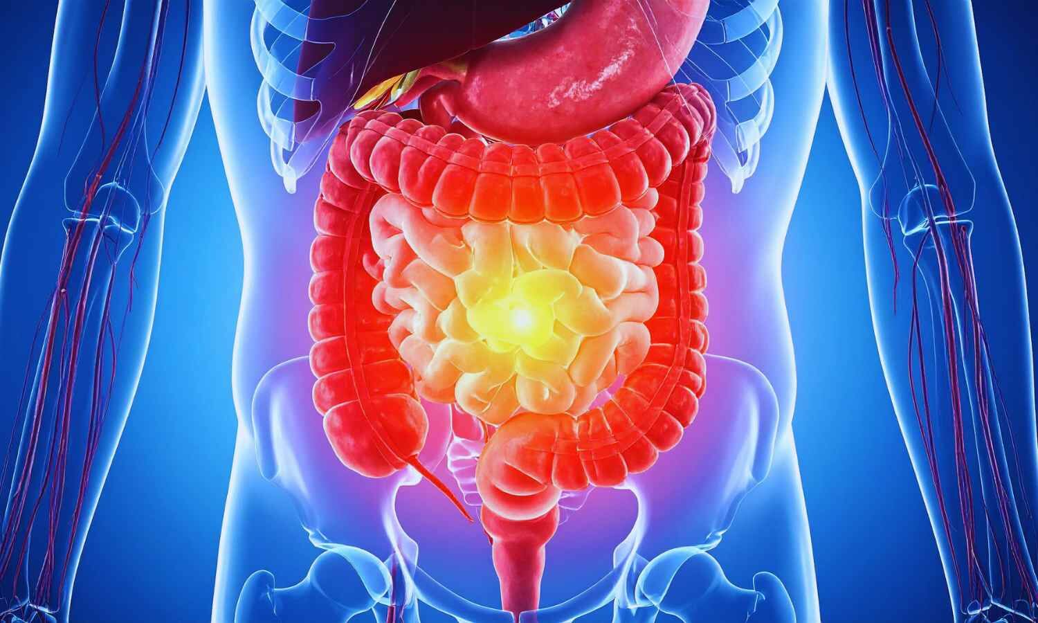 Yes, that late-night snacking is probably messing up your gut, reports ...